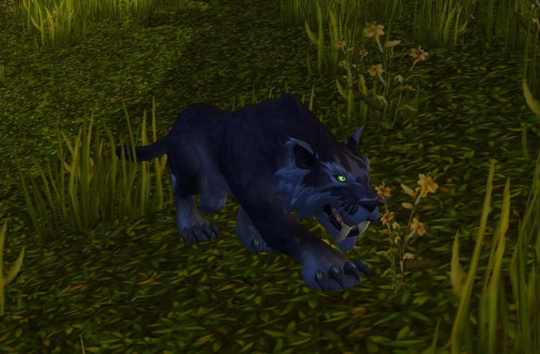 Tameable Pets/Cat | Project Ascension Wiki | Fandom