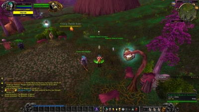 Night Elf Starting Zone | Project Ascension Wiki | Fandom