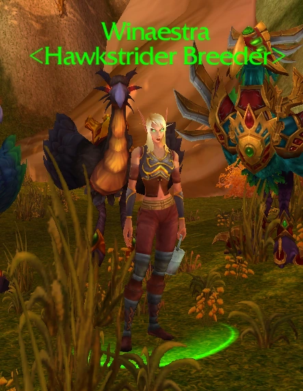 How to get ALL Blood Elf Racial mounts in Ascension. | Project ...