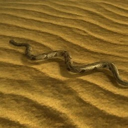 Rattlesnake | Fallout: New California | Fandom