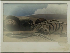 Recent Photo of a Dead Brotherhood Soldier | Fallout: New California ...