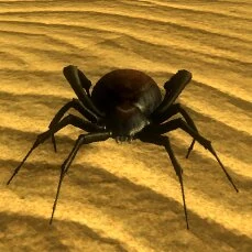 Spider | Fallout: New California | Fandom