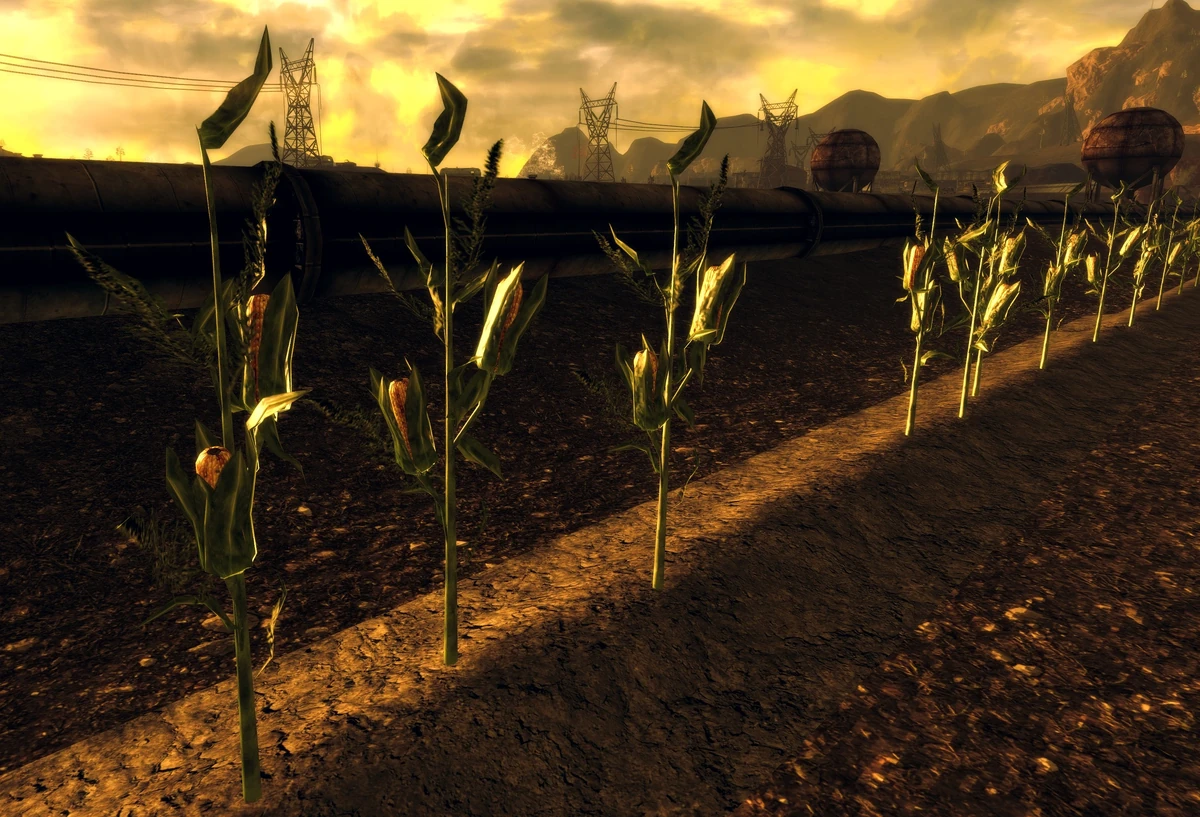 Cash Is King | Fallout: New California | Fandom