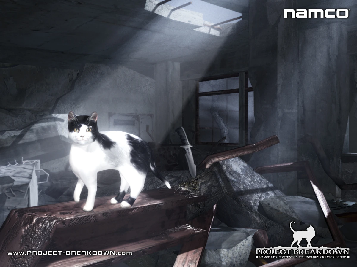 Casval | Project Breakdown Wiki | Fandom