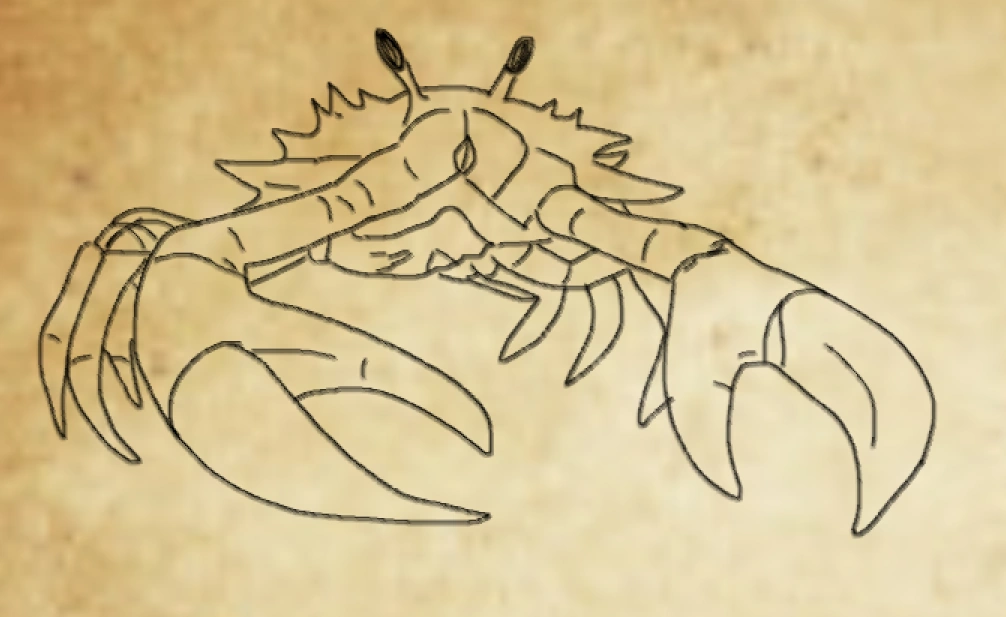 Cangrejos de arena | Wiki Project Collide | Fandom