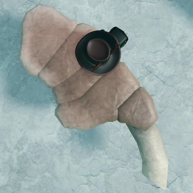 Dread Flesh | Deepwoken Wiki | Fandom