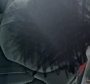 Shade | Deepwoken Wiki | Fandom