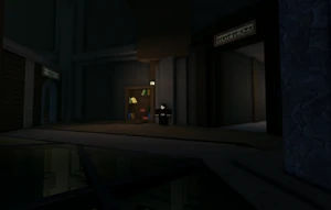 Suri | Deepwoken Wiki | Fandom