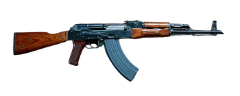 AKMN | Project Delta Roblox Wiki | Fandom