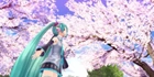 Sakura Rain | Project DIVA Wikia | Fandom