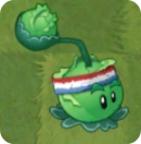 Cabbage-pult | Plants vs. Zombies 2: Project ECLISE Wiki | Fandom