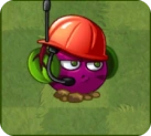 Phat Beet | Plants vs. Zombies 2: Project ECLISE Wiki | Fandom