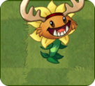 Primal Sunflower | Plants vs. Zombies 2: Project ECLISE Wiki | Fandom