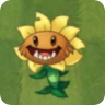 Primal Sunflower (Alpha) | Plants vs. Zombies 2: Project ECLISE Wiki ...