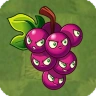 Grapeshot | Plants vs. Zombies 2: Project ECLISE Wiki | Fandom