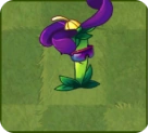 Nightshade | Plants vs. Zombies 2: Project ECLISE Wiki | Fandom