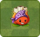 A.K.E.E. | Plants vs. Zombies 2: Project ECLISE Wiki | Fandom