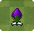Shrinking Violet | Plants vs. Zombies 2: Project ECLISE Wiki | Fandom