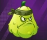 Squash (Alpha) | Plants vs. Zombies 2: Project ECLISE Wiki | Fandom