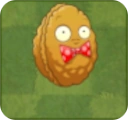 Wall-nut | Plants vs. Zombies 2: Project ECLISE Wiki | Fandom