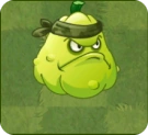 Squash | Plants vs. Zombies 2: Project ECLISE Wiki | Fandom