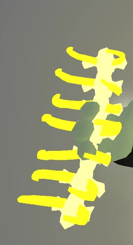 Spine | Project Jojo Wiki | Fandom