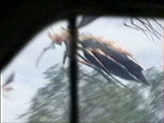 Shelter 54 Incident | Project Monster Wiki | Fandom