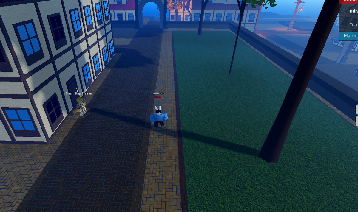 Flash Step | Project New World Wiki | Fandom