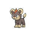Litleo Line/XY | Project NuzlockeDex Wiki | Fandom