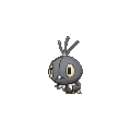 Scatterbug Line/XY | Project NuzlockeDex Wiki | Fandom