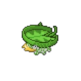 Lotad | Project Pokemon Wiki | Fandom