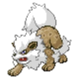Arcanine | Project Pokemon Wiki | Fandom