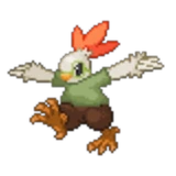 Combusken | Project Pokemon Wiki | Fandom