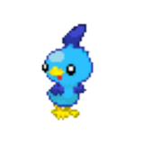 Torchic | Project Pokemon Wiki | Fandom