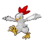 Combusken | Project Pokemon Wiki | Fandom