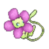 Mew | Project Pokemon Wiki | Fandom