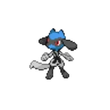 Riolu | Project Pokemon Wiki | Fandom