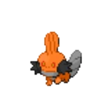 Mudkip | Project Pokemon Wiki | Fandom