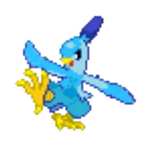 Combusken | Project Pokemon Wiki | Fandom