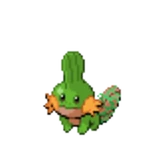 Mudkip | Project Pokemon Wiki | Fandom