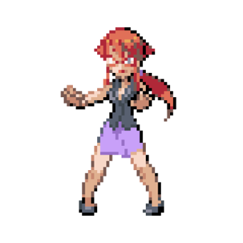 Elite Four | Project Polaro (Alpha) Wiki | Fandom