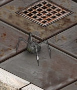 Spider | Project Restoration Wikia | Fandom