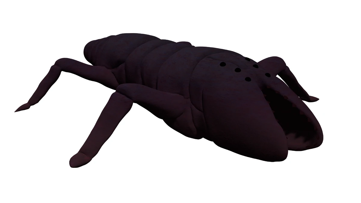 Arthropulma | Project Rose Wiki | Fandom