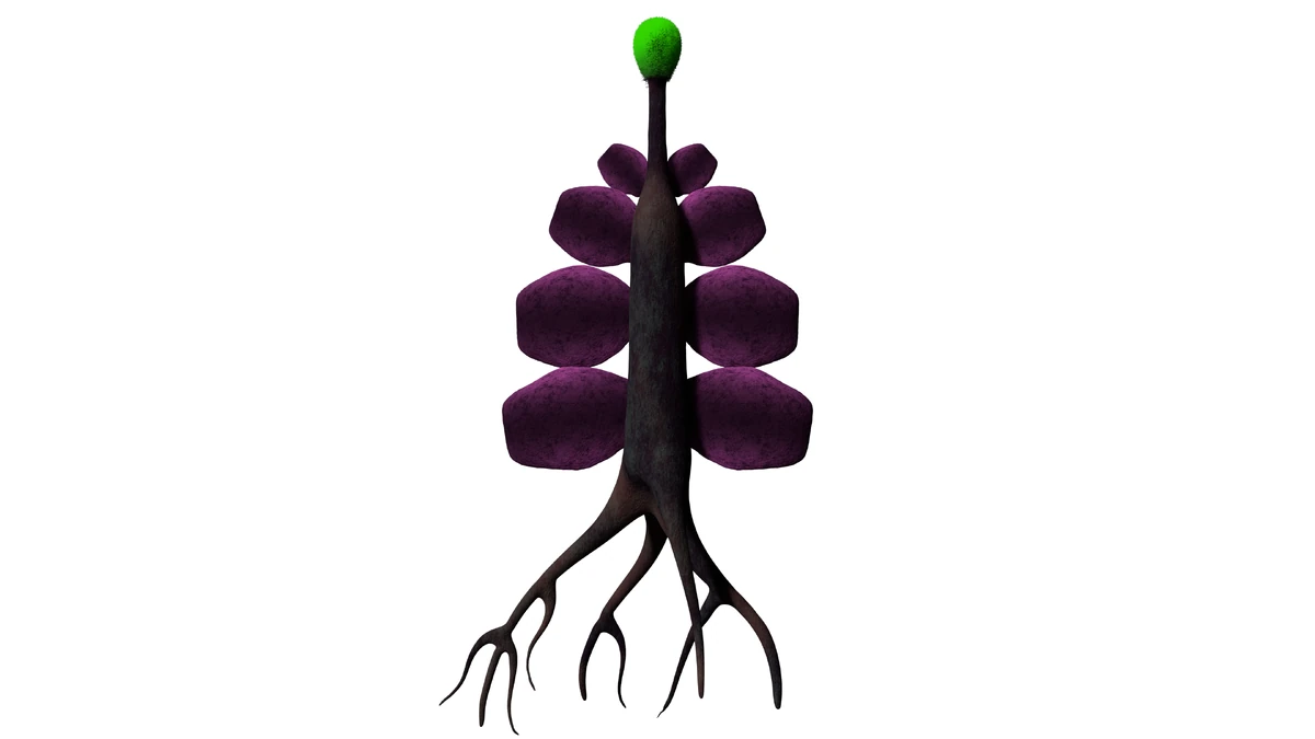 Latusfyte | Project Rose Wiki | Fandom