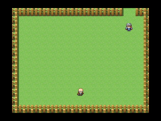 Fence | Project RPG Wiki | Fandom