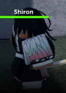 Map 1 | Project Slayers Wiki | Fandom