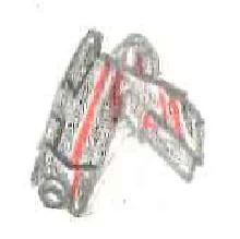 Pistola Alt | Wiki Project Species | Fandom