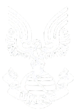 Spirit of Fire | Project Stardust Wiki | Fandom