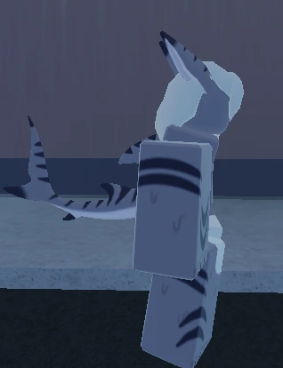 Gray Shark | Project Transfur Wiki | Fandom