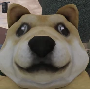 Doge | Project Transfur Wiki | Fandom